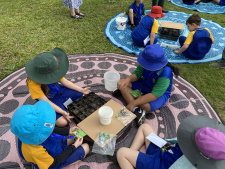Nudgee Beach Excursion
