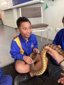 Prep Reptile Incursion