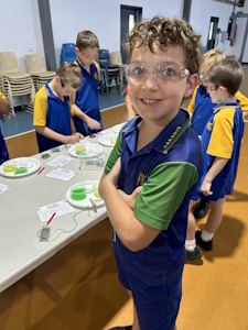 Year 3 Street Science 2024